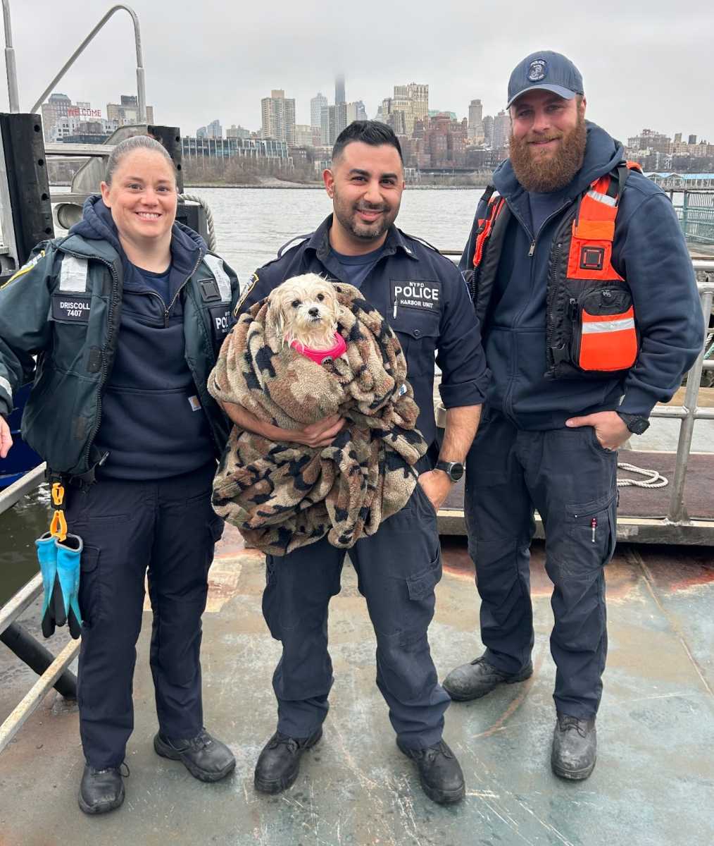 NYPD Harbor Unit Rescues Dog from East River