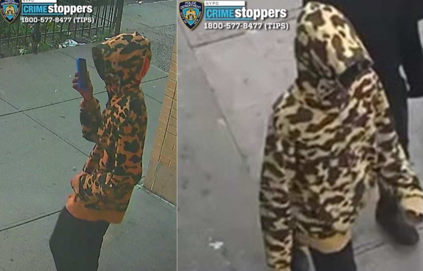 Suspect in Bronx stray bullet shooting still at large for firing deadly ...